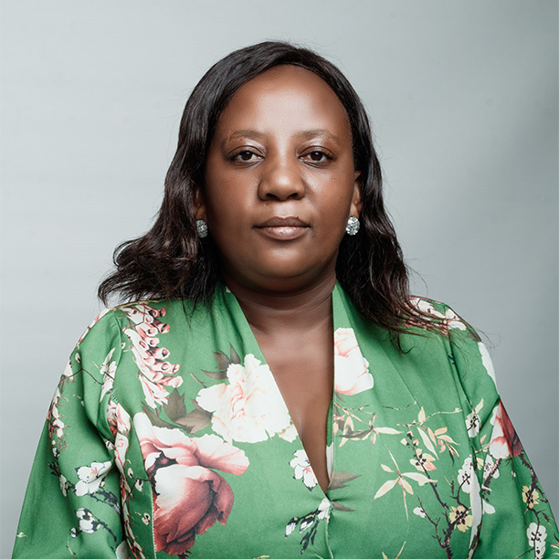 Board of Directors – Small Enterprises Development Company