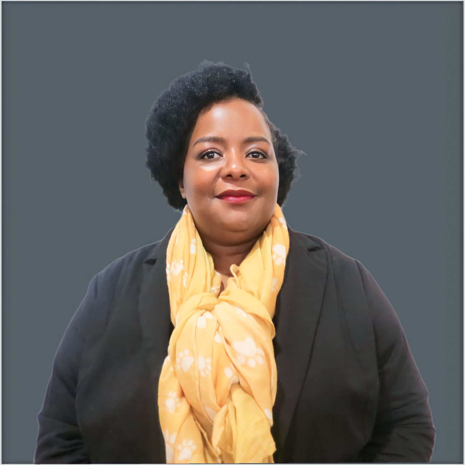 Board of Directors – Small Enterprises Development Company